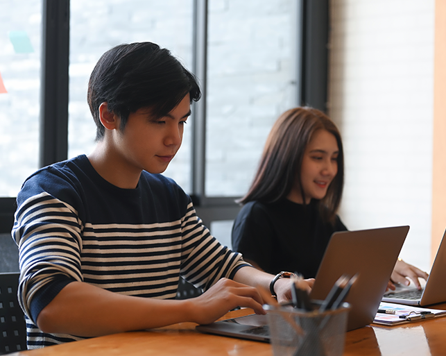 Portfolio Designer – Felicia Kloewer